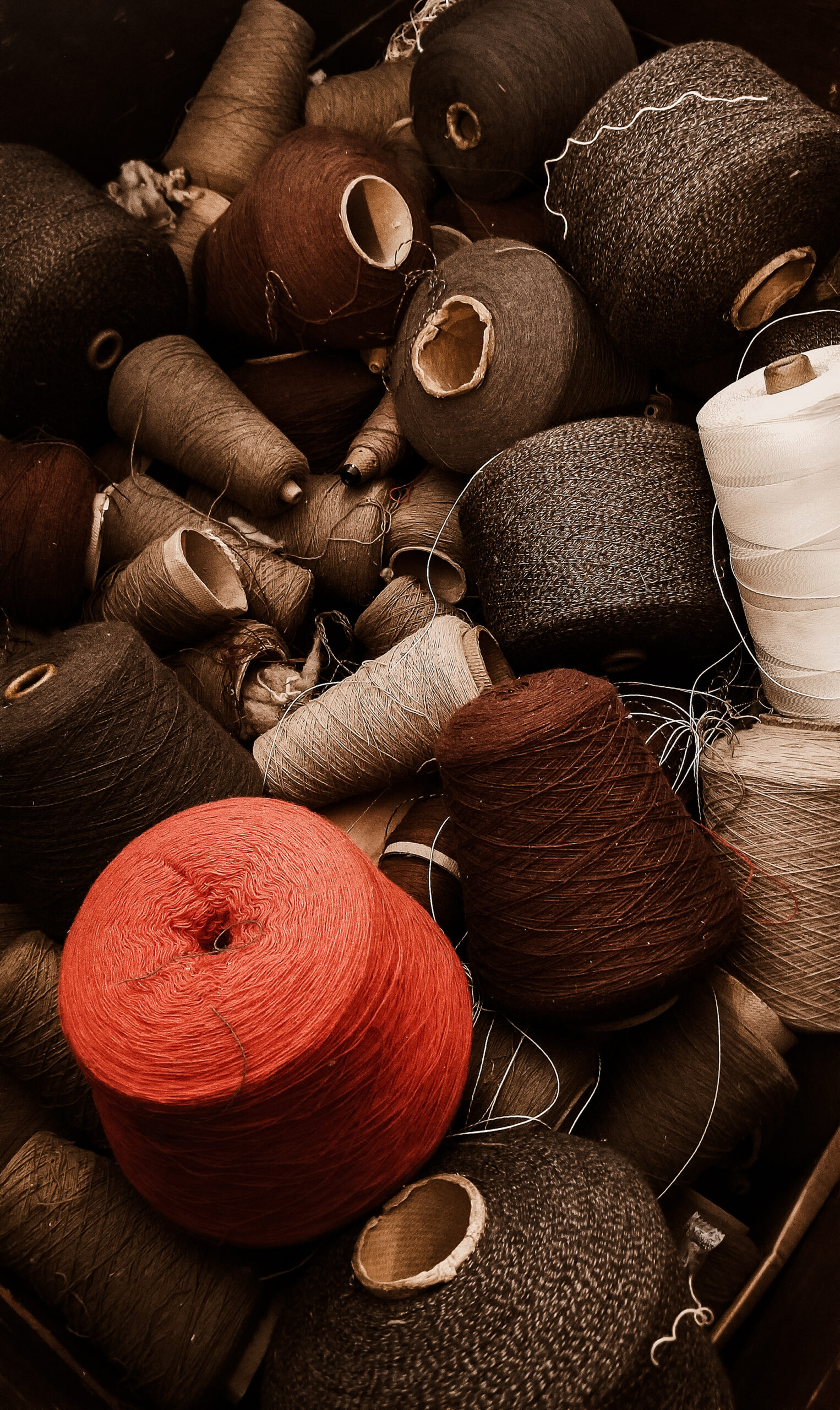 Nima Plexi - Adrenalize Digital Agency